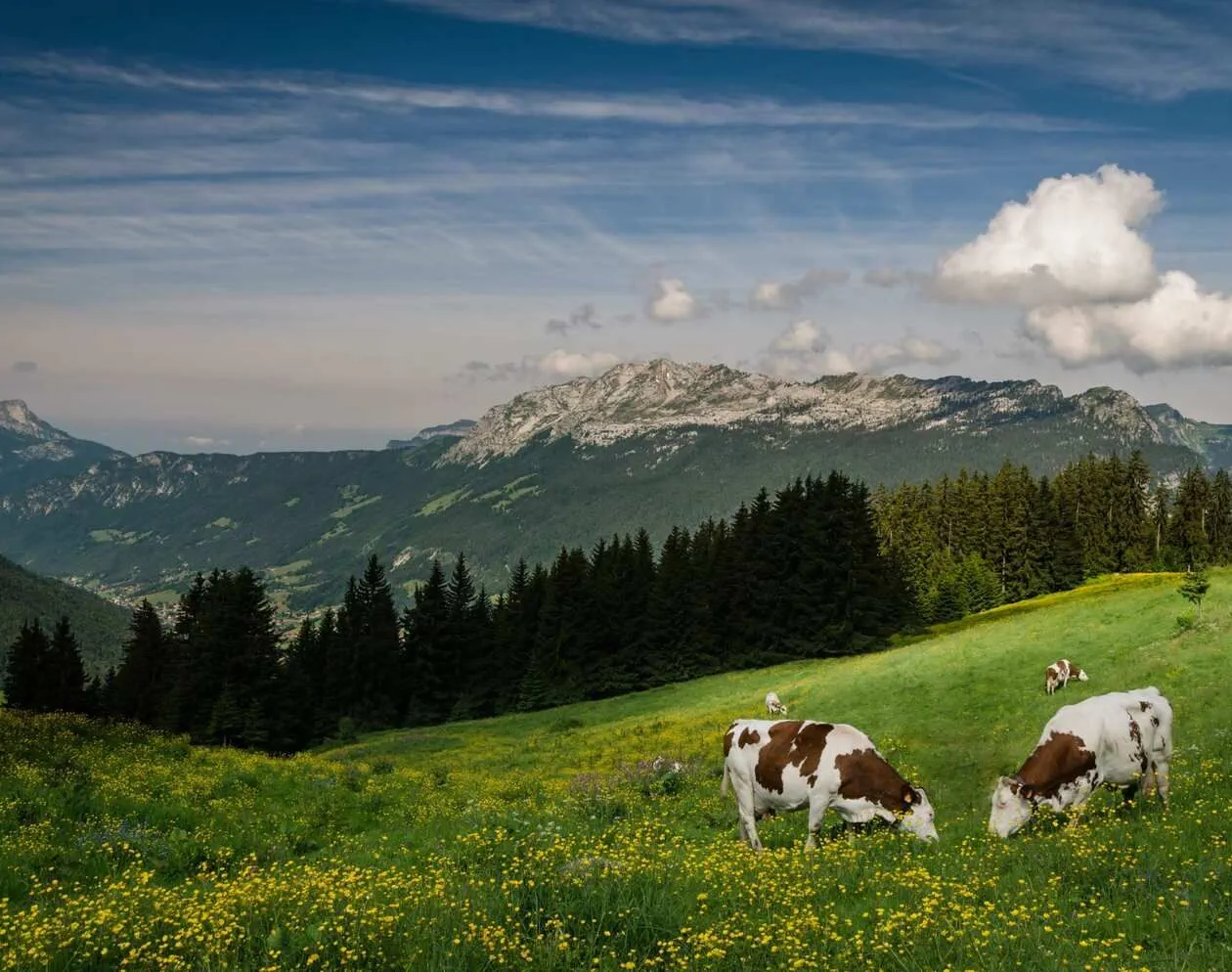 Randonnées à La Clusaz : notre top 6