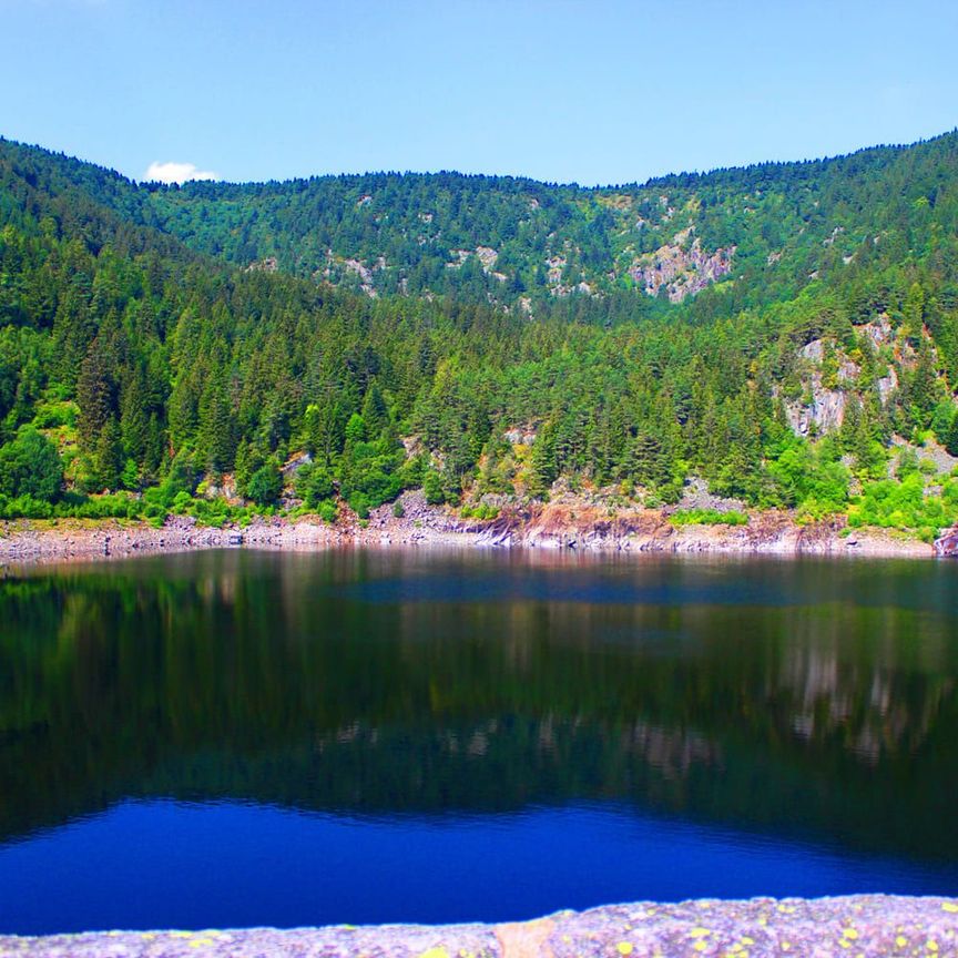 Randonnée au lac des Truites ou lac du Forlet : top 5 des itinéraires