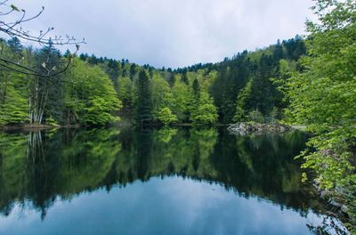 Randonnée au lac des Perches : top 7 des itinéraires