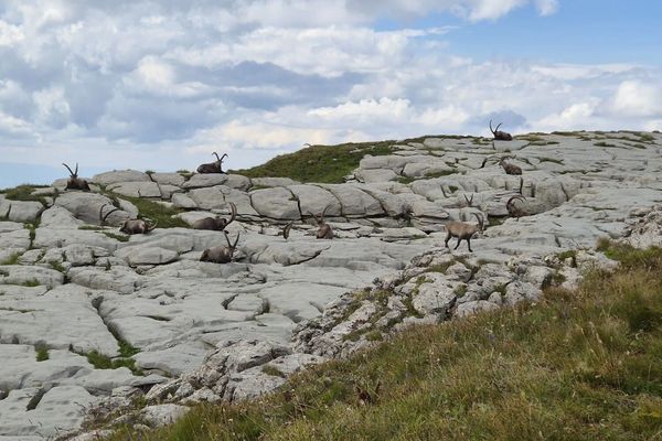 Massif du Mont-Blanc : les plus belles randonnées et balades