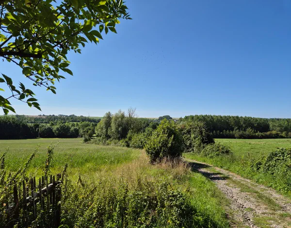 Rozoy-sur-Serre et chemin de découverte en pays Thiérache