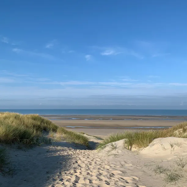 Fort-Mahon : les plus belles randonnées et balades