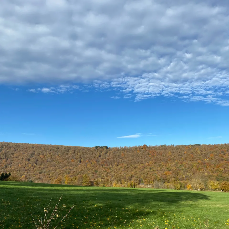 Parc naturel régional des Ardennes : les plus belles randonnées