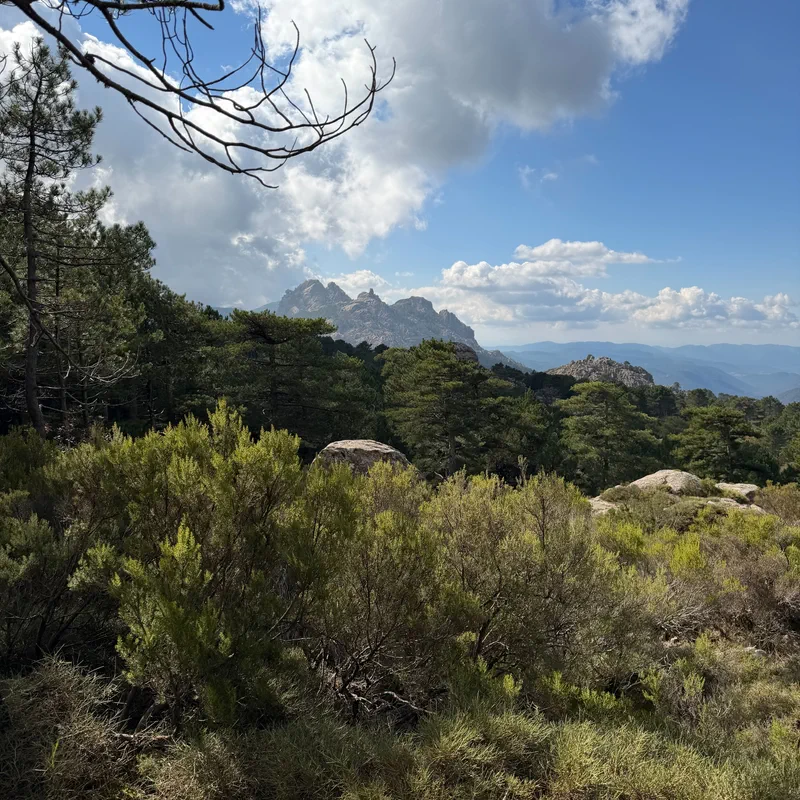 Cascade de Piscia di Gallu : randonnée au pied d’un géant corse