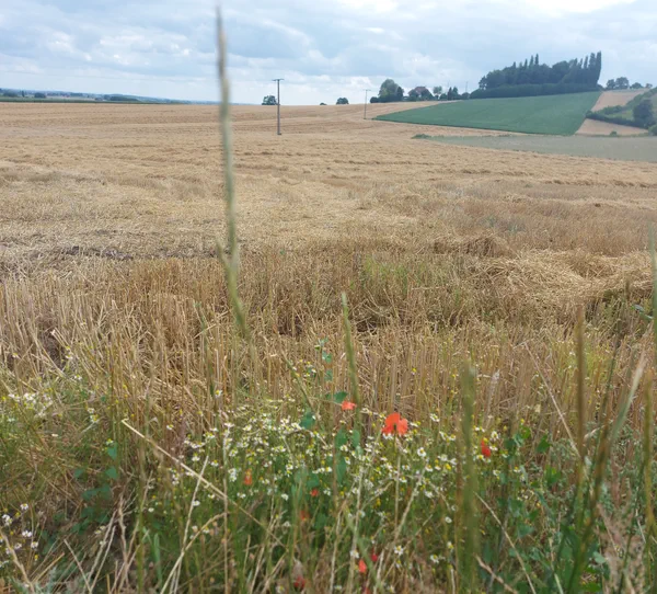 Mont des Récollets depuis Cassel