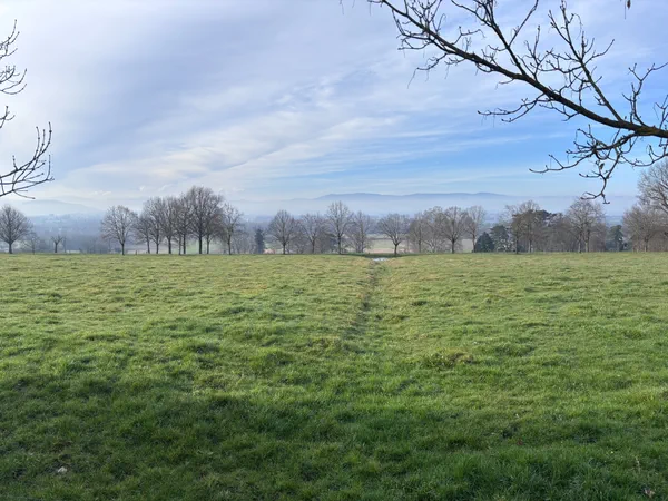 Promenade tranquille entre champs et bois autour de Guéreins