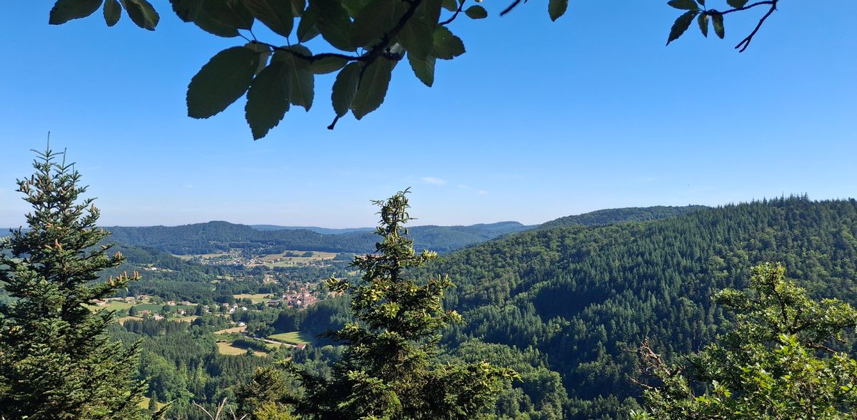 Le Tholy : les plus belles randonnées et balades