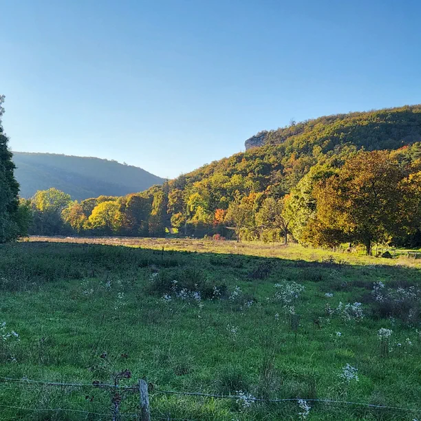 Plateau de Langres : les plus belles randonnées et balades