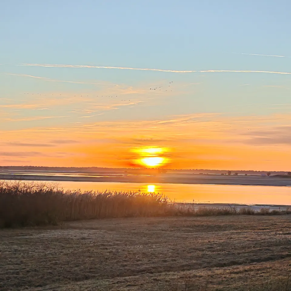 Lac du Der : les plus belles randonnées et balades