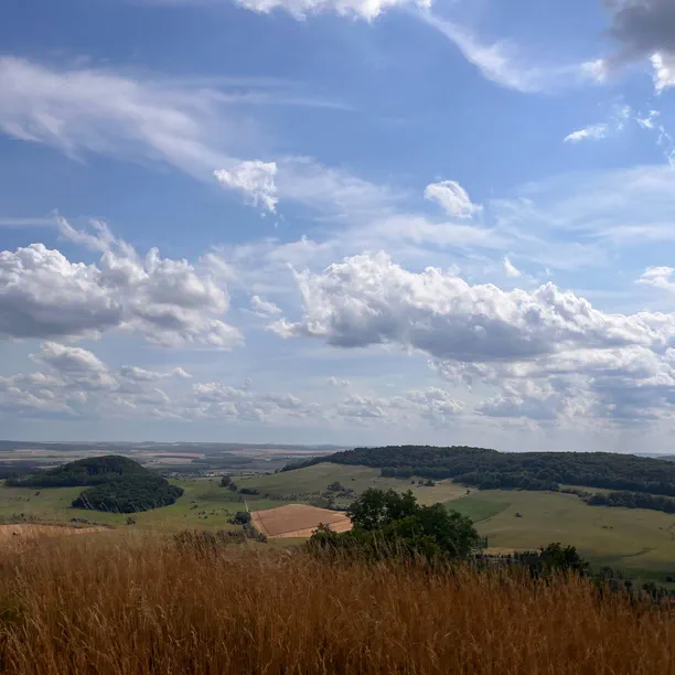 Colline de Sion : les plus belles randonnées et balades