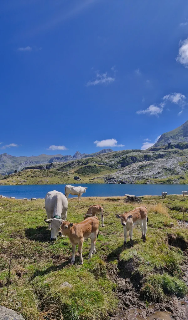 Vallée d’Ossau et son tour enchanteur des lacs d’Ayous