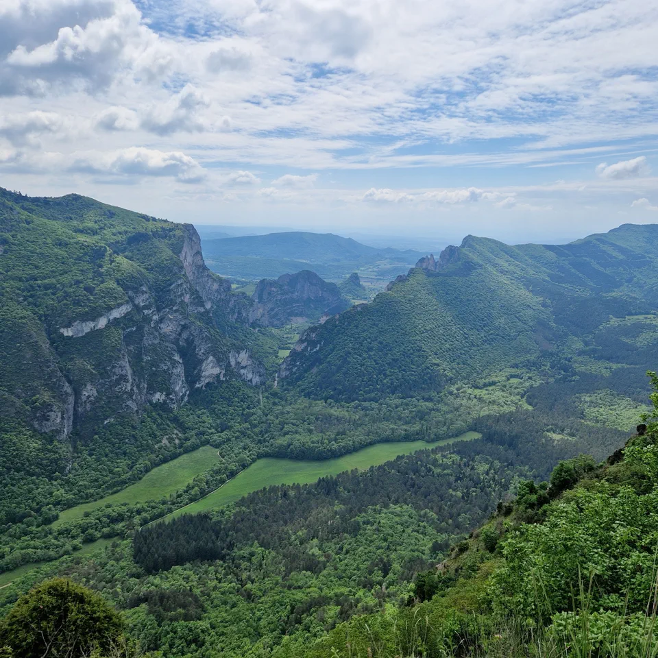 Forêt de Saoû : les plus belles randonnées et balades