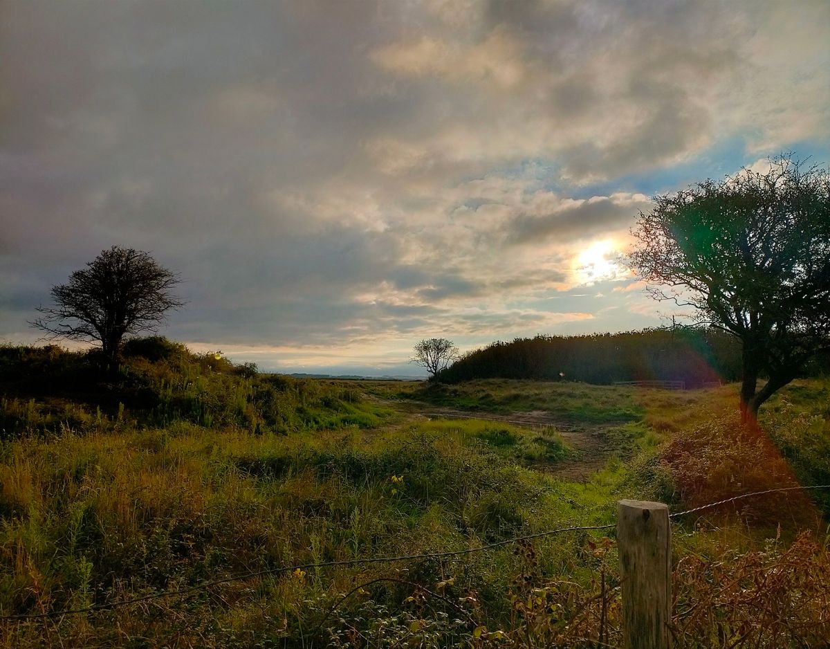 Fort-Mahon : les plus belles randonnées et balades