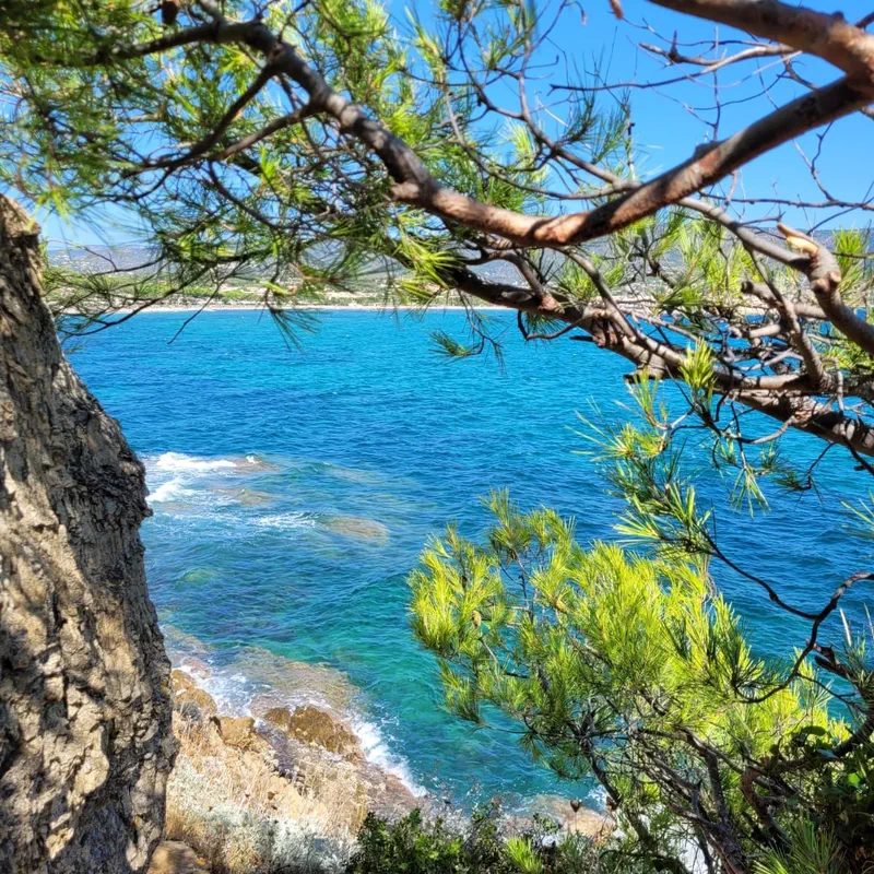 3 randos iodées sur le sentier du littoral de Bandol