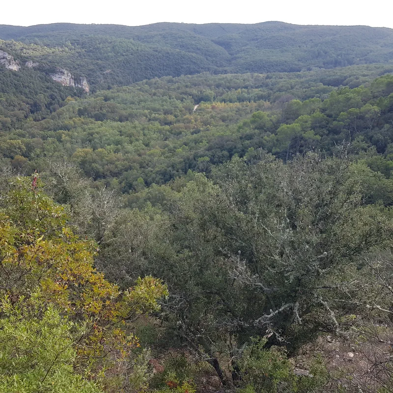 Cascades du Sautadet : randonnée facile à la Roque-sur-Cèze