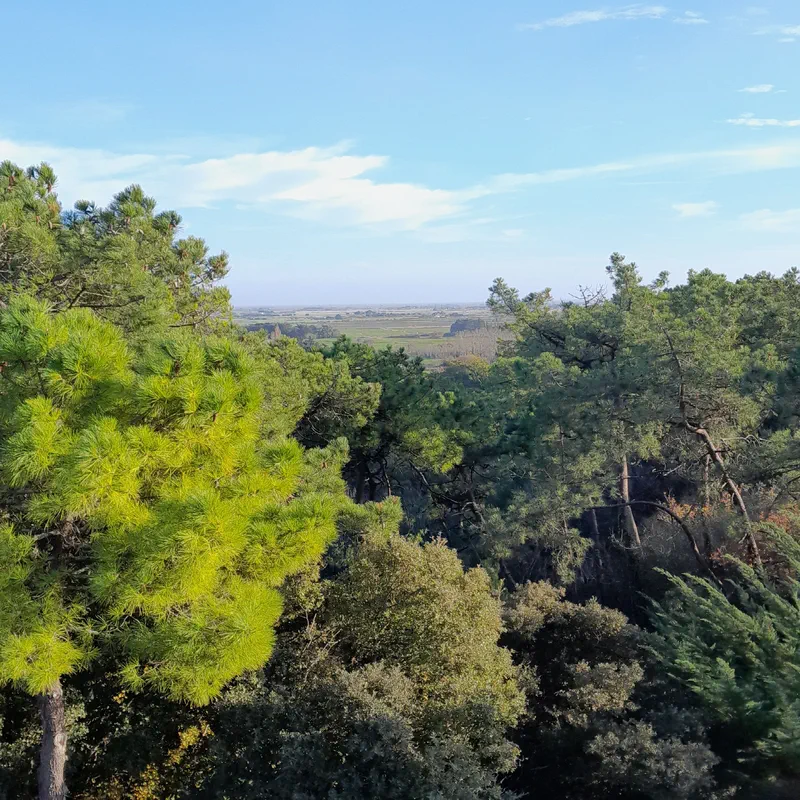 Randonnée au Pey de la Blet, dans le ciel de Vendée