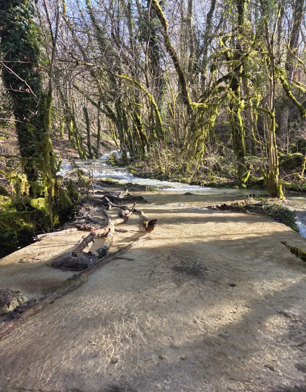 Balade à la Cascade de la Brive