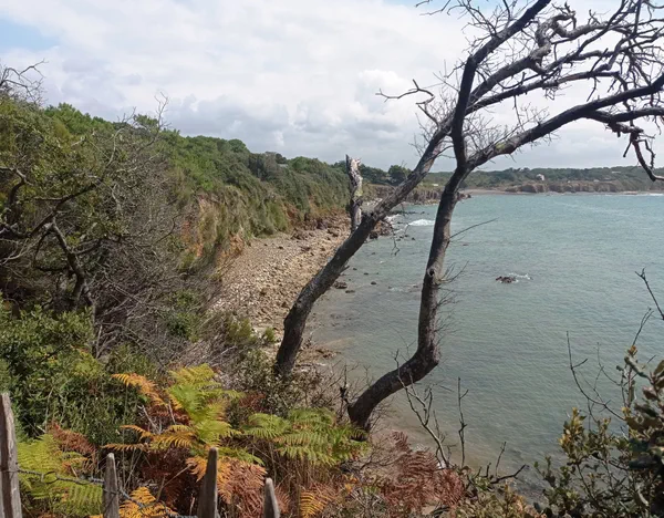 Puit d'enfer et Cayola par chemin et front de mer