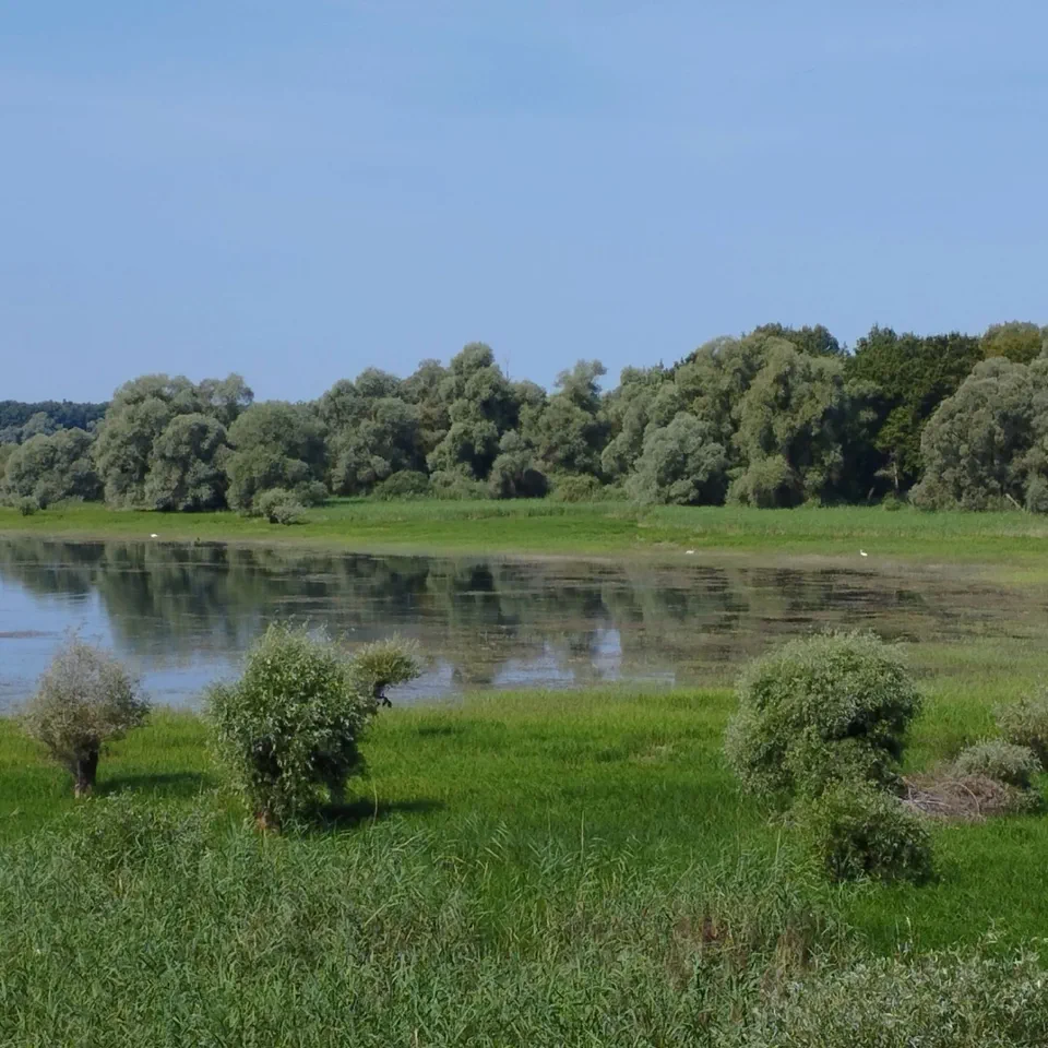 Parc naturel régional de la Forêt d'Orient : les plus belles randonnées ...