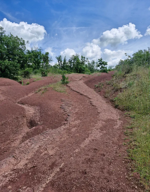 Dunes et Sentier de Maraval