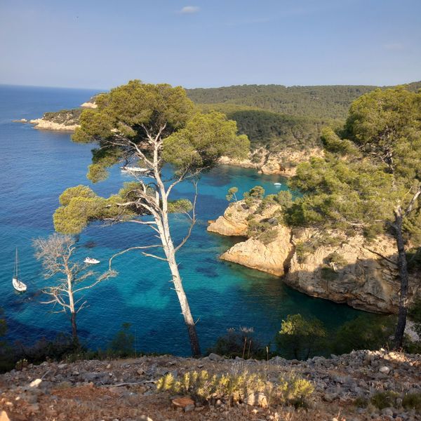 3 randos iodées sur le sentier du littoral de Bandol