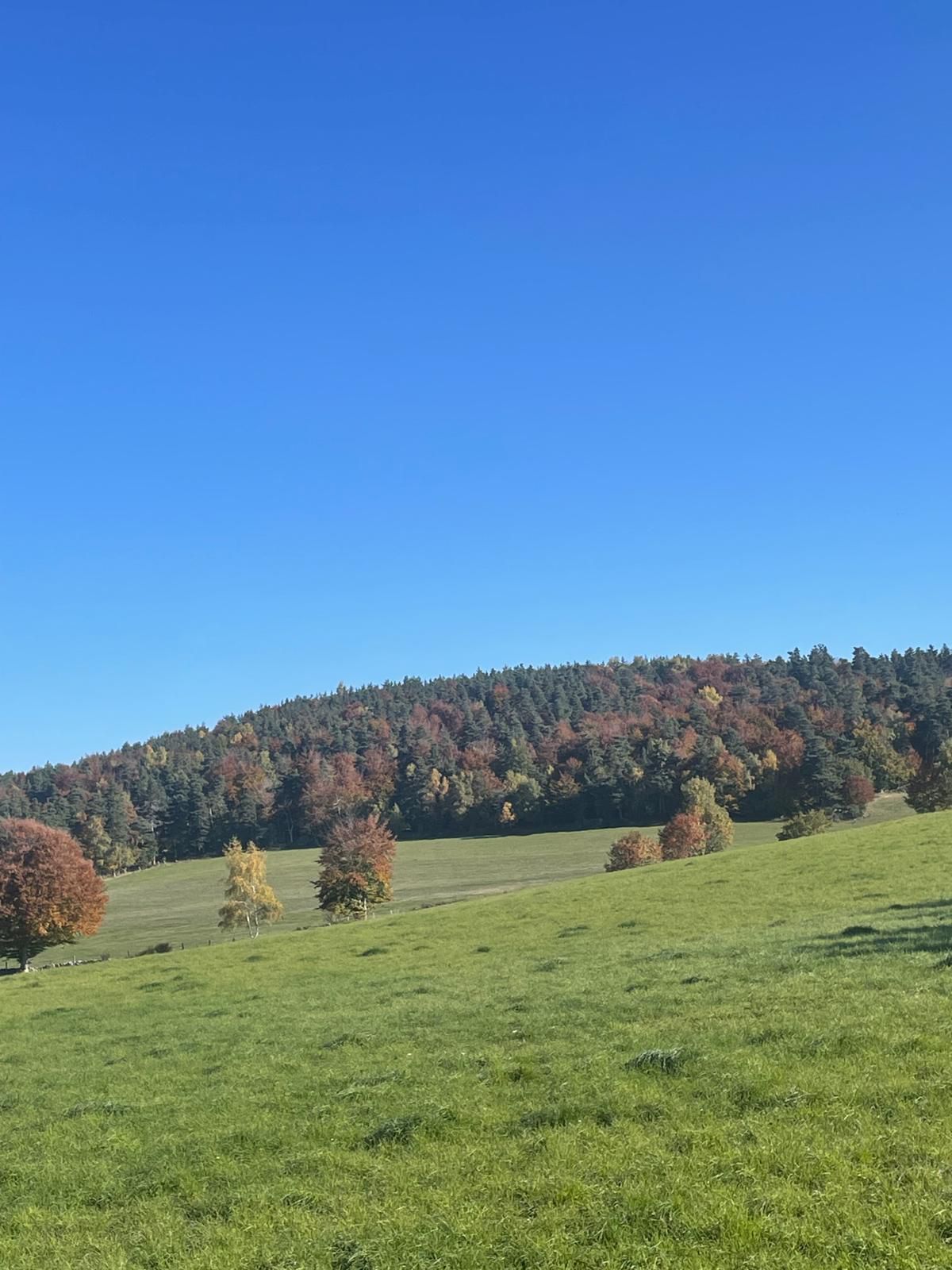 Saint-Alban-sur-Limagnole : les plus belles randonnées - Lozère