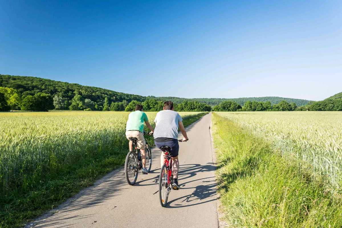 Un bout du Compostelle landais à vélo depuis Pissos