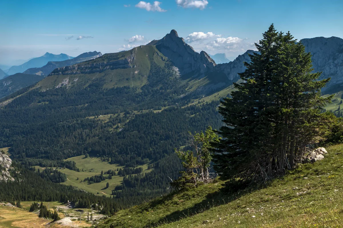 Plateau du Cornafion et paysages sublimes dans le Vercors