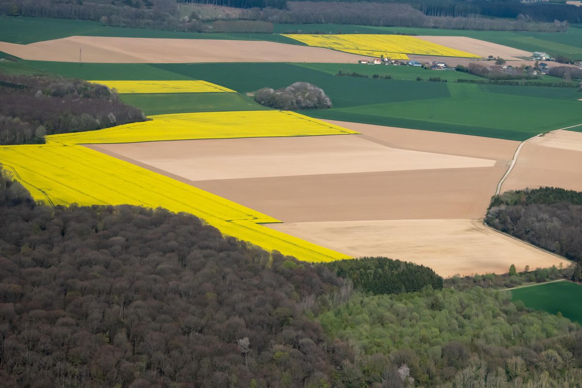 Criel-sur-Mer et boucle apaisante le long de l'Yères
