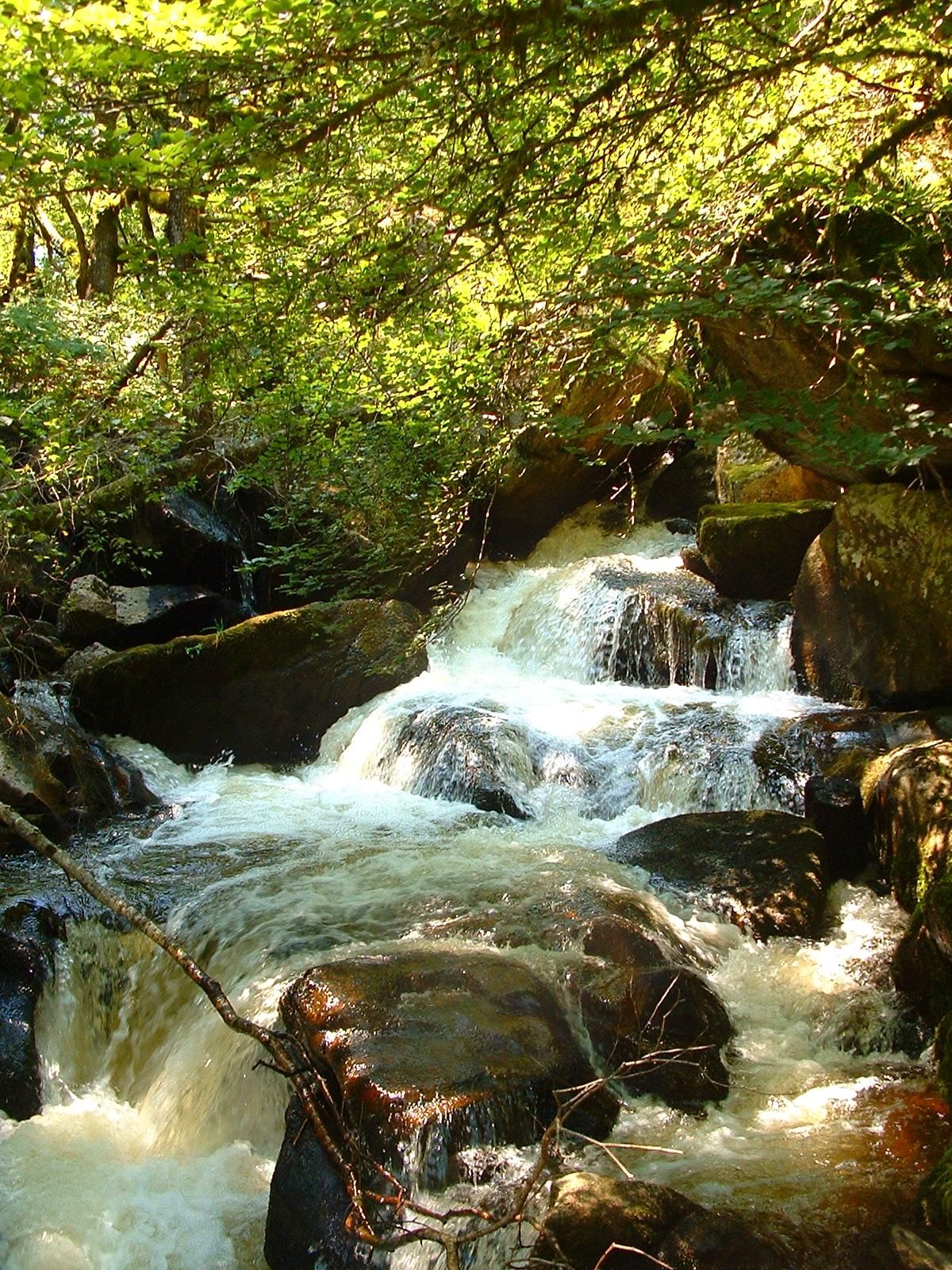 Sortie cool et verte aux cascades du Deiro
