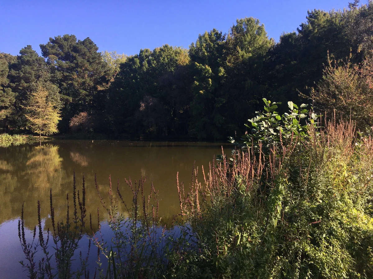Balade au parc des Gayeulles et dans la campagne alentour