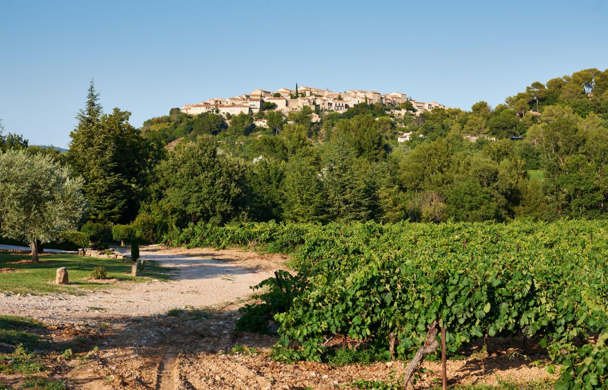 Grambois et joie d'une randonnée typiquement provençale