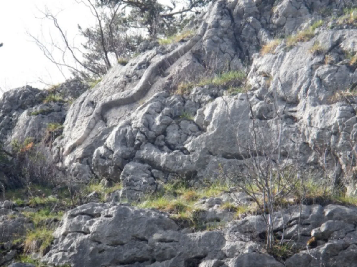 Vallée de la Fauge et BOA secret