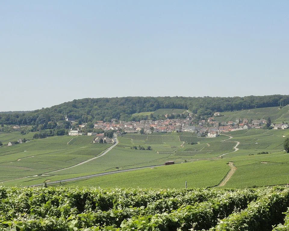 Parc naturel régional de la montagne de Reims : les plus belles ...