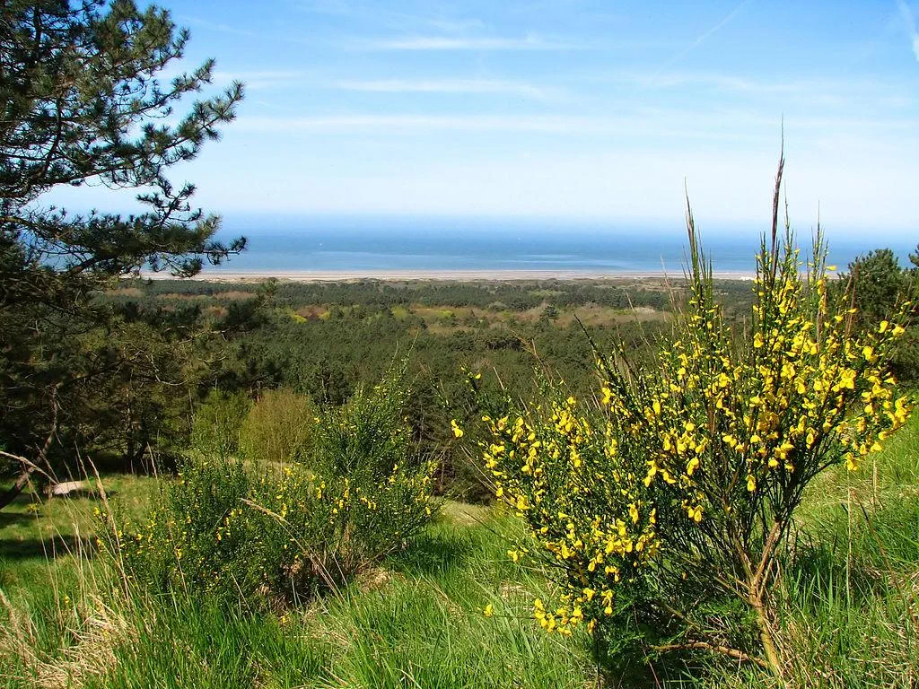 Mont Saint-Frieux, couchers solaires et sols dunaires