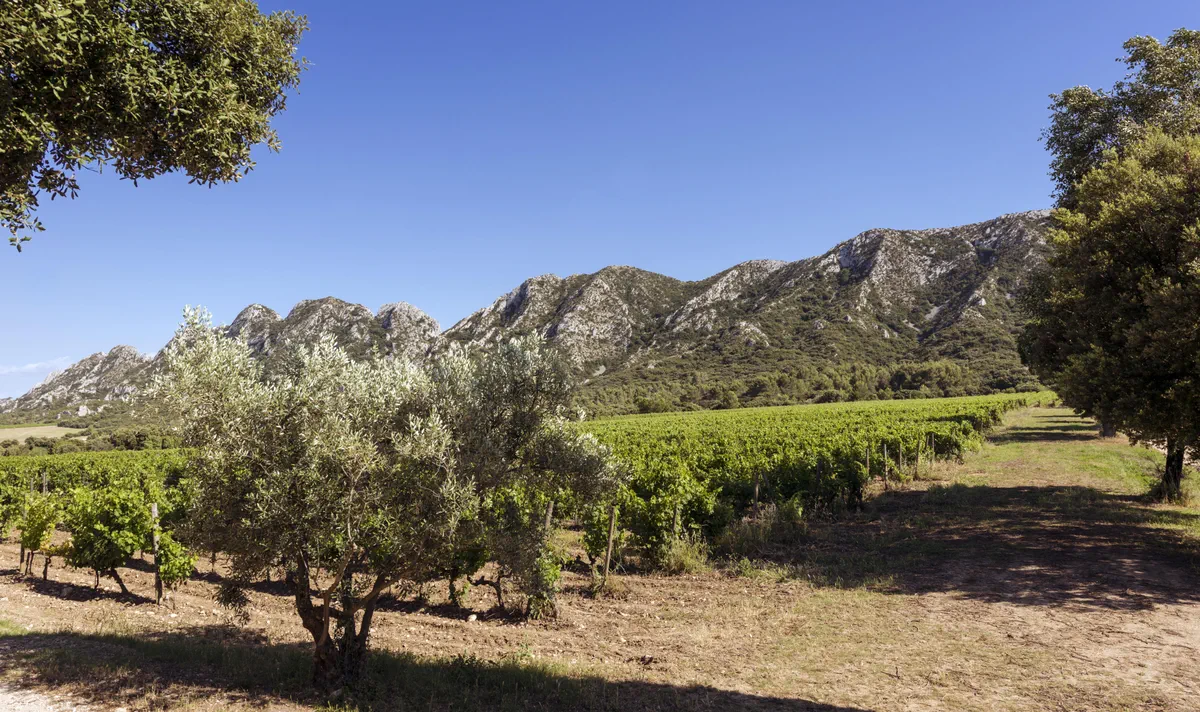 Superbes falaises du Gros Calan et Alpilles sauvages