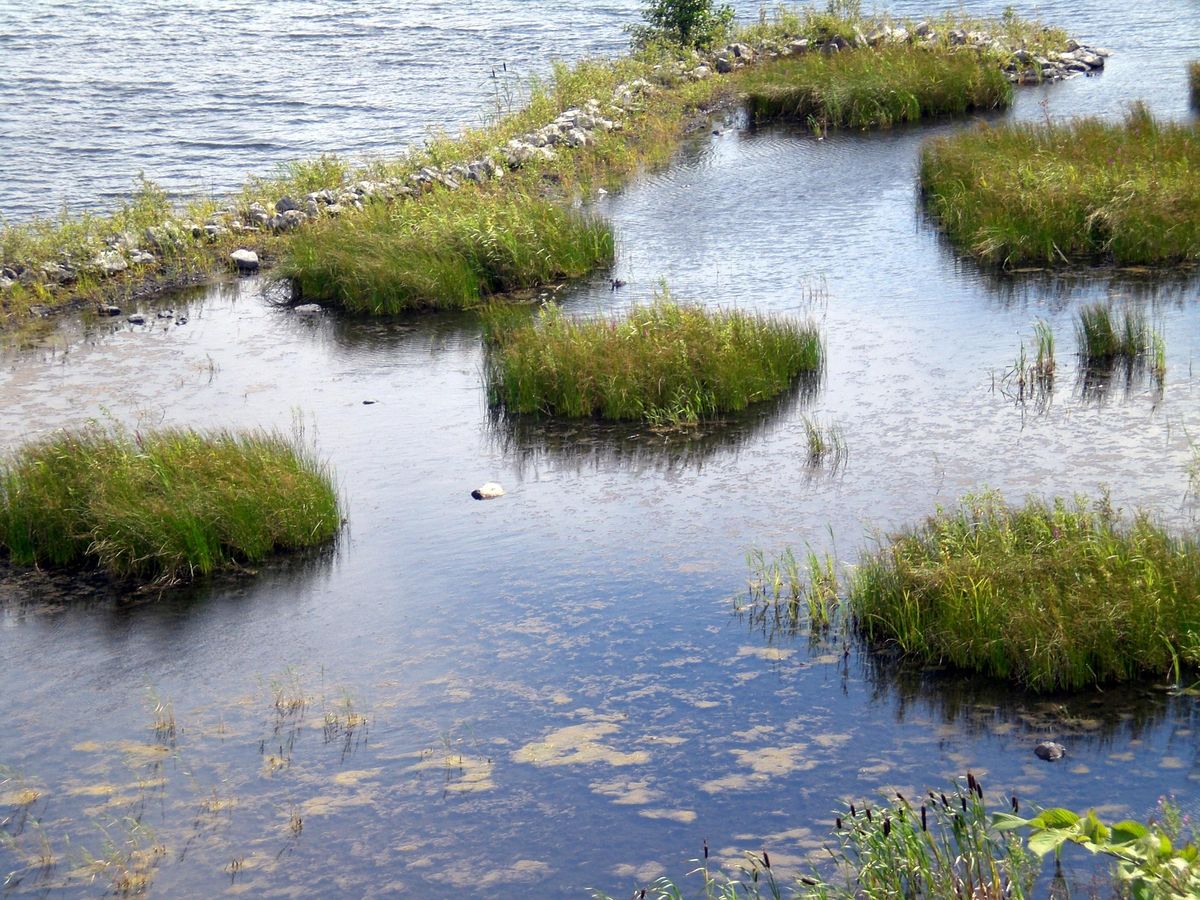 Rieulay, entre étang et tourbière et espaces protégés