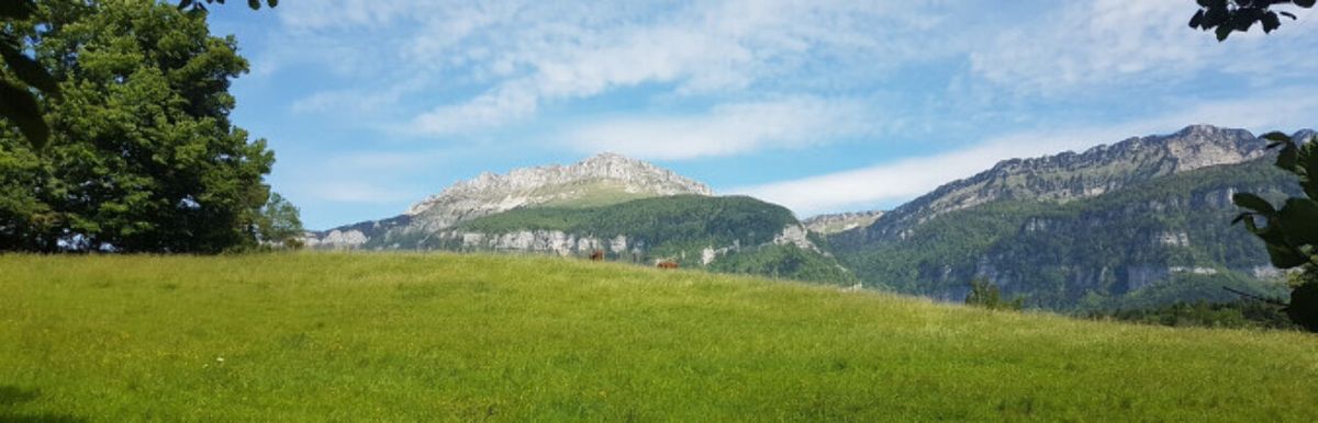 Plateau du Grand Ratz et bain de nature près de Voiron