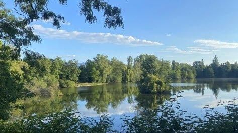 Etangs d'Ingersheim et beautés diverses de la nature