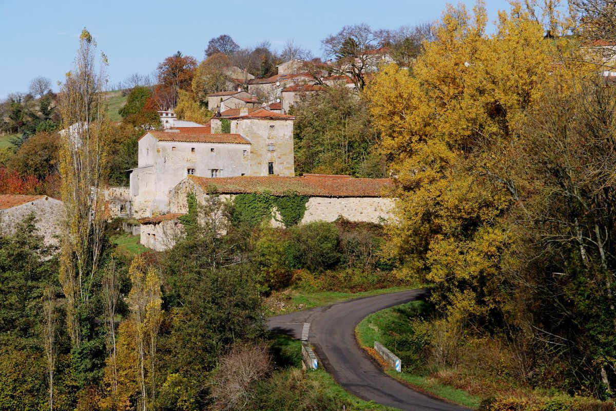Vic-le-Comte et riche randonnée à l'orée de la forêt de la Comté