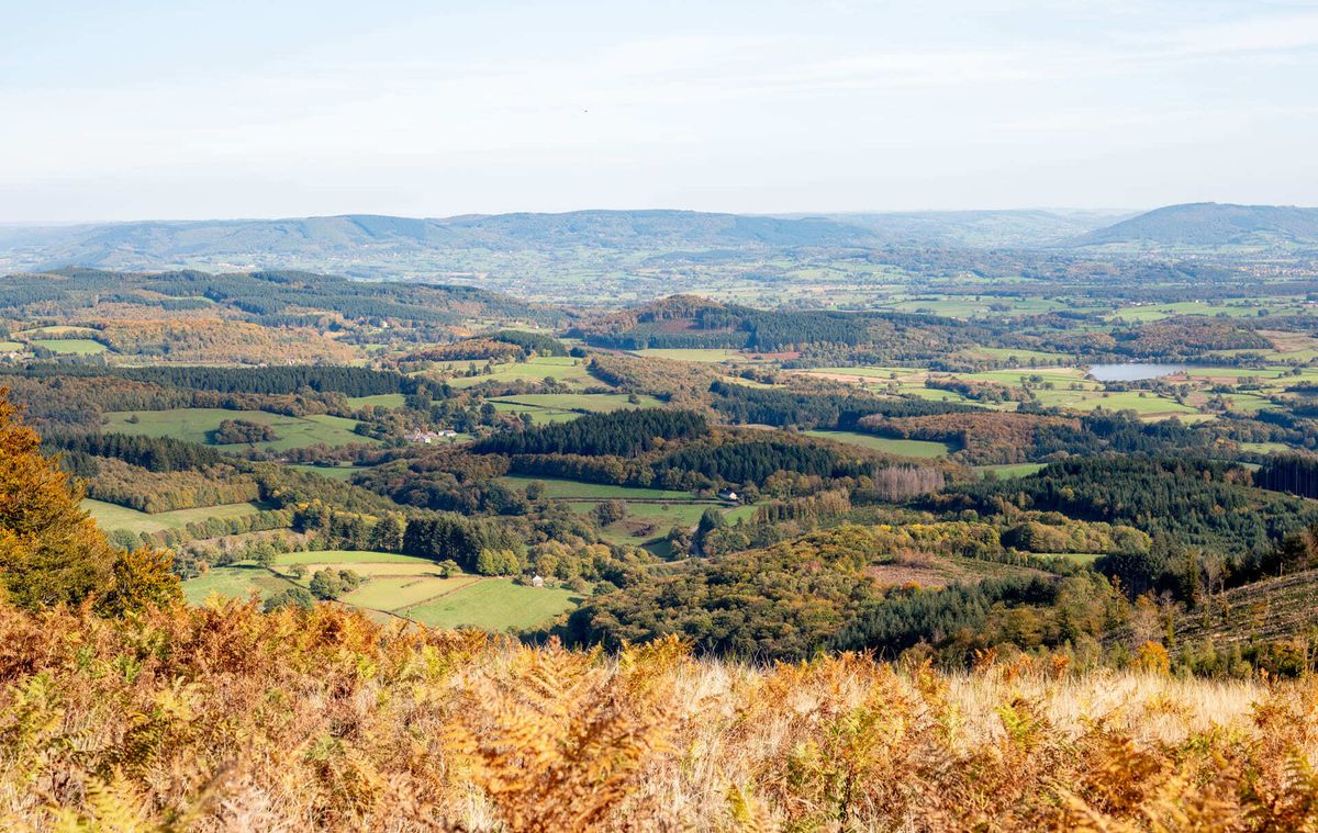 Bibracte, les trois monts et une cervoise bien fraîche
