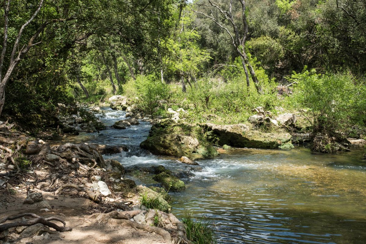 Valbonne : rando forestière au doux son de la Brague
