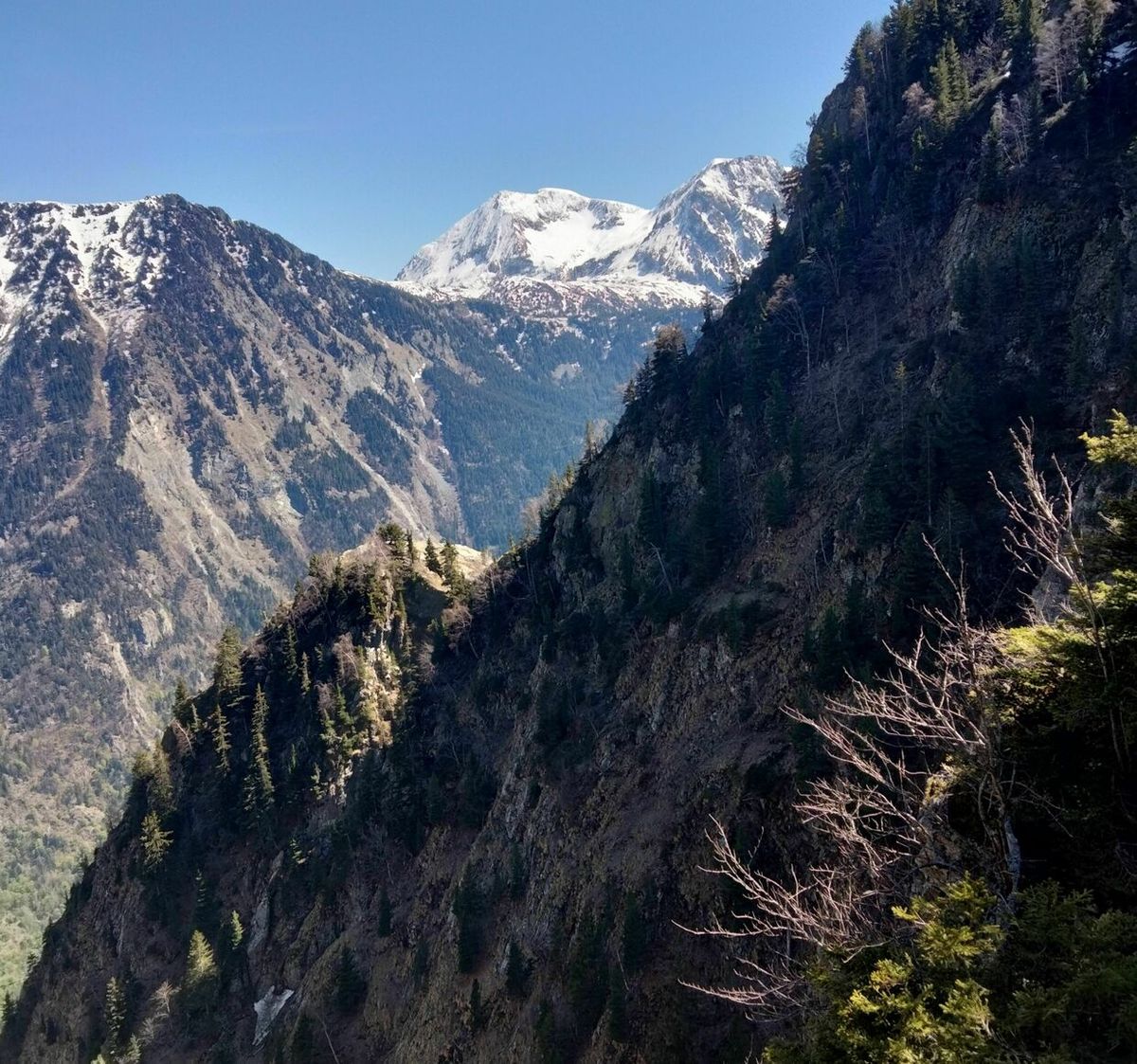Tourbière de l'Arselle et tourelles de l'Homme