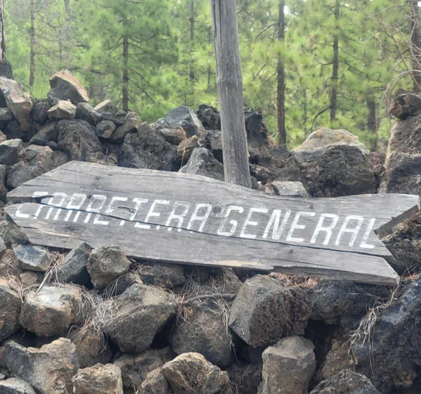 Camino forestal y canal de agua, en Cueva de los Pájaros