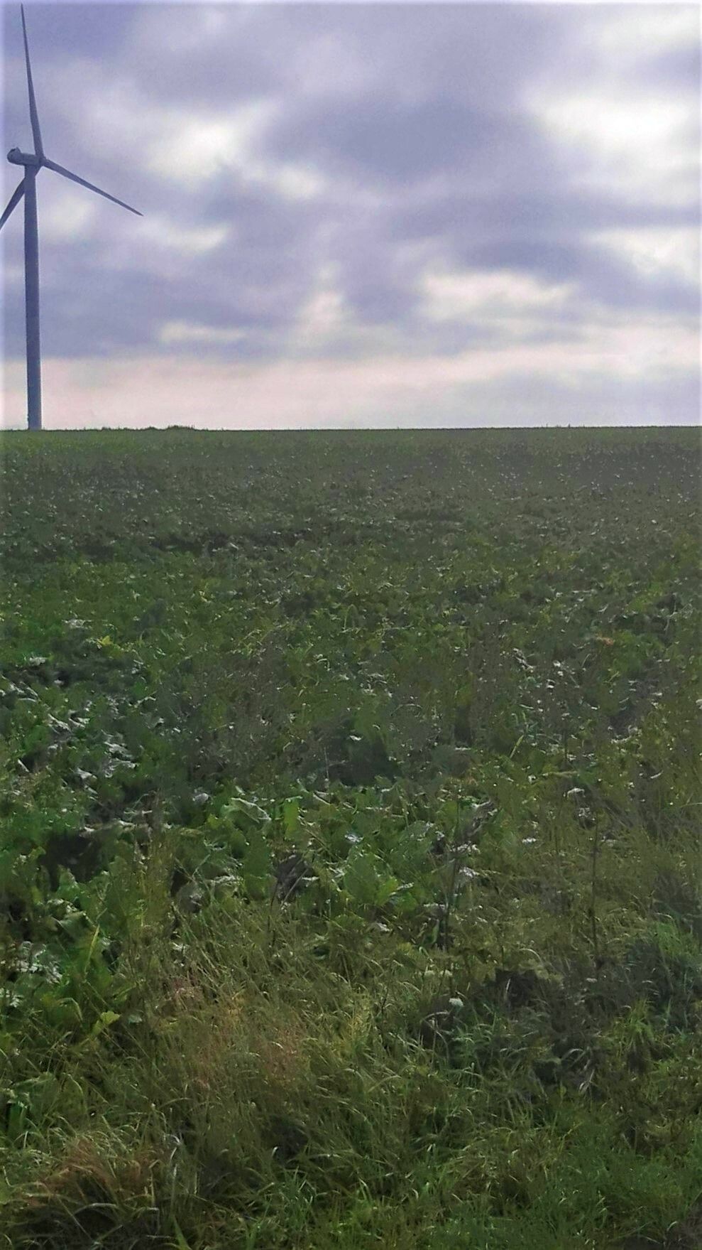 Balade en Val de Saane