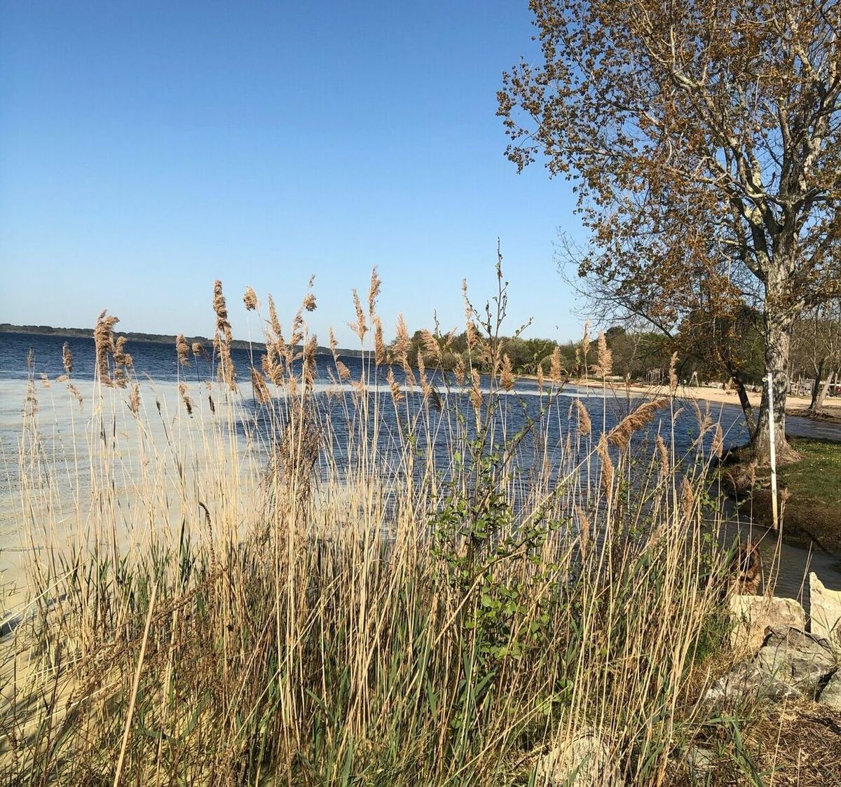 Le long du lac depuis Gastes