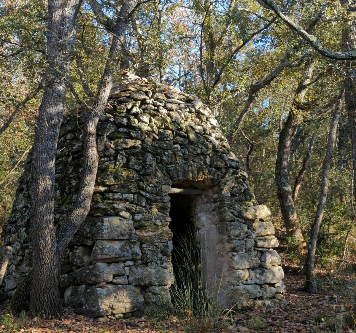 In het bos van Mazan en Mormoiron