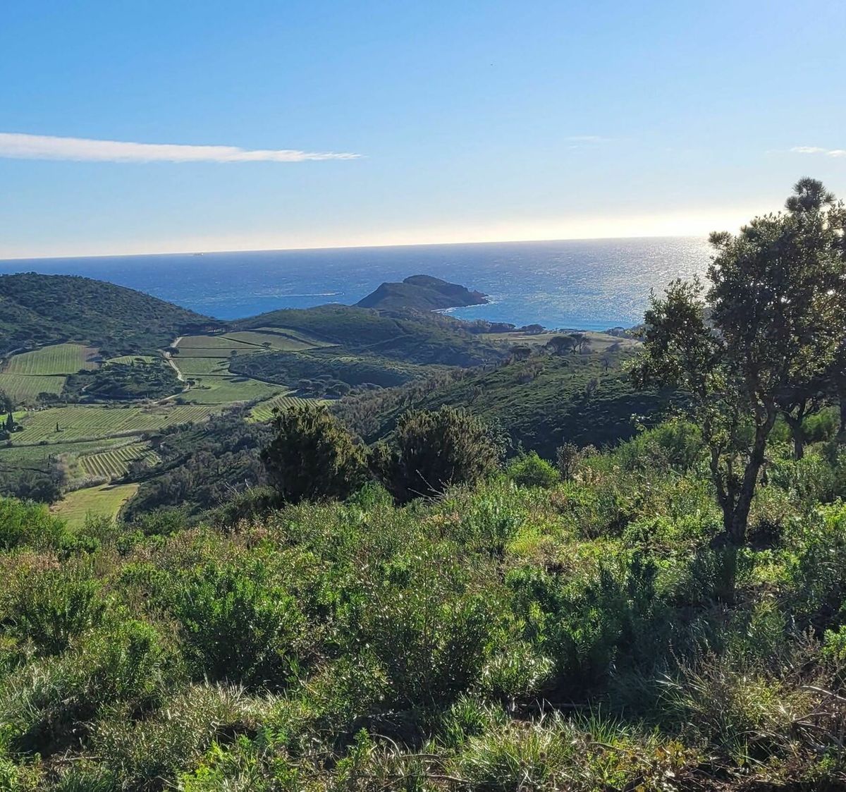 Le fort de la Croix Faron depuis Toulon