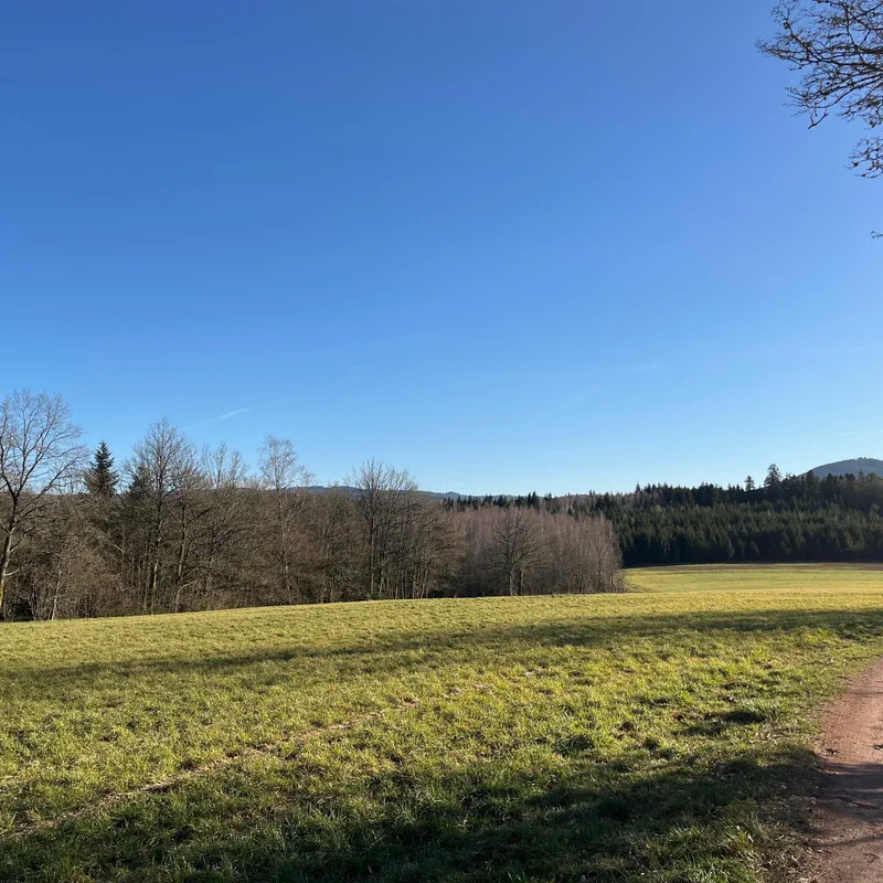 Randonnée mystère au lac de la Maix