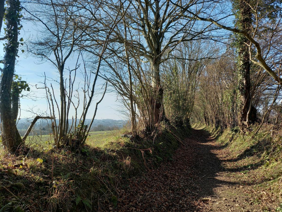 La vallée du Lozon